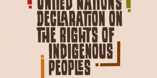 UNDRIP and DRIPA: Learning the Basics / UVic Events - University of ...